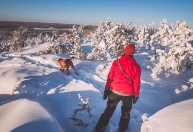 5 Summer Events in Yellowknife You Have To Attend | Yellowknife Online